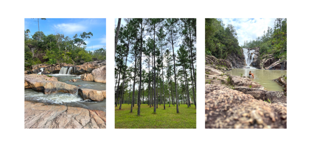 Mountain Pine Ridge isabellaaroundtheworld - Travel Blog
